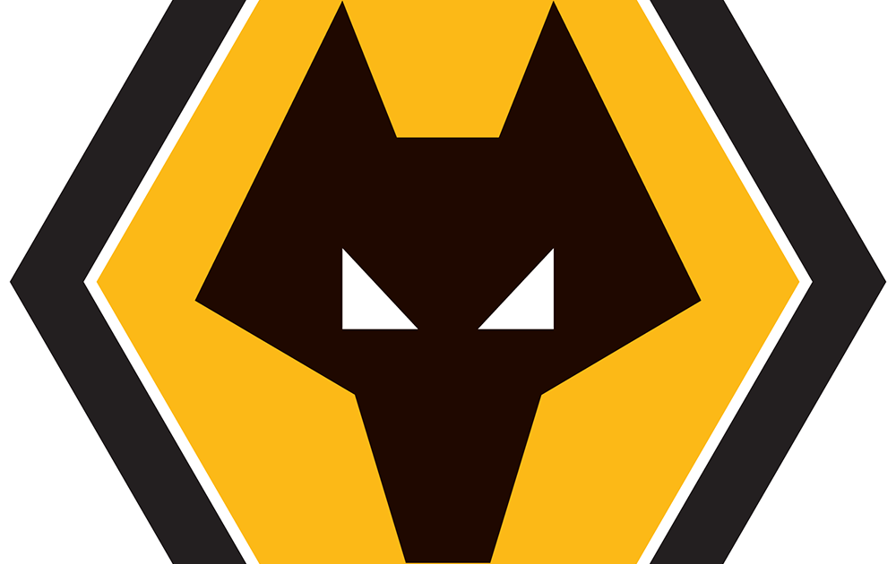 Wolves DSA goes from strength to strength - Level Playing Field